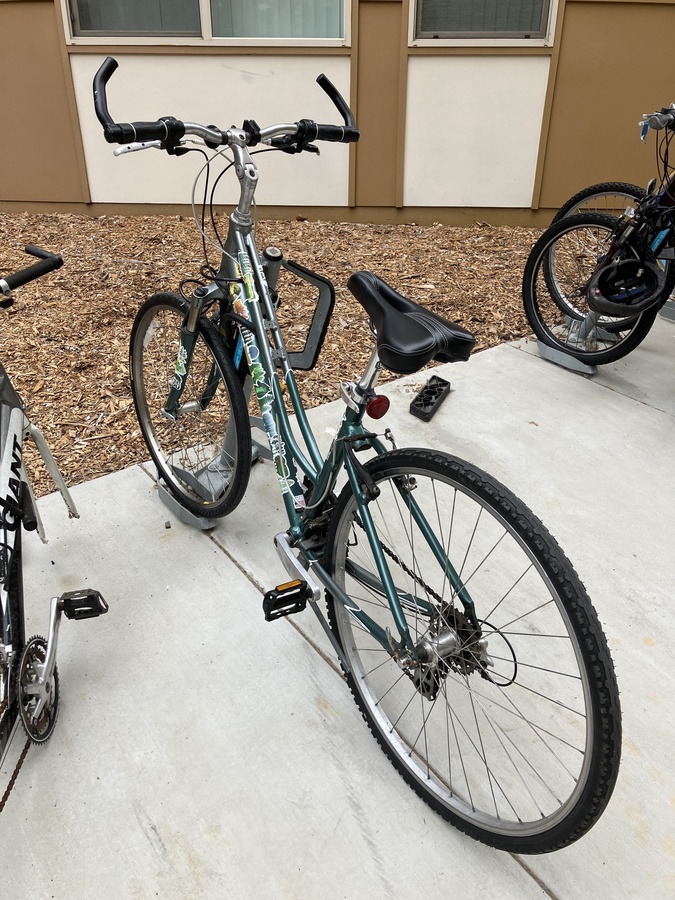 Giant Cypress DX w Silver