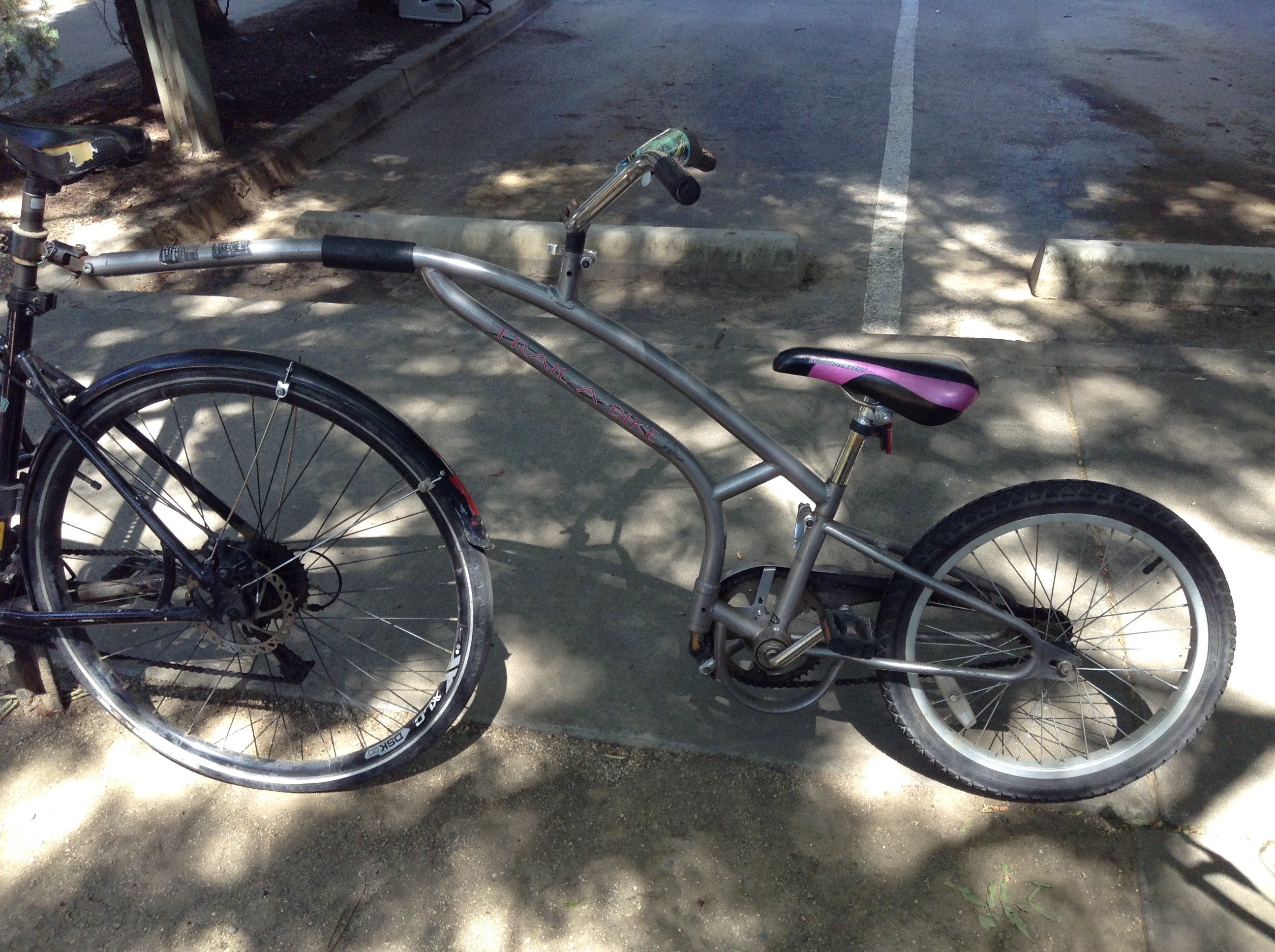 Adams Trail-a-Bike trail behind (half bike)