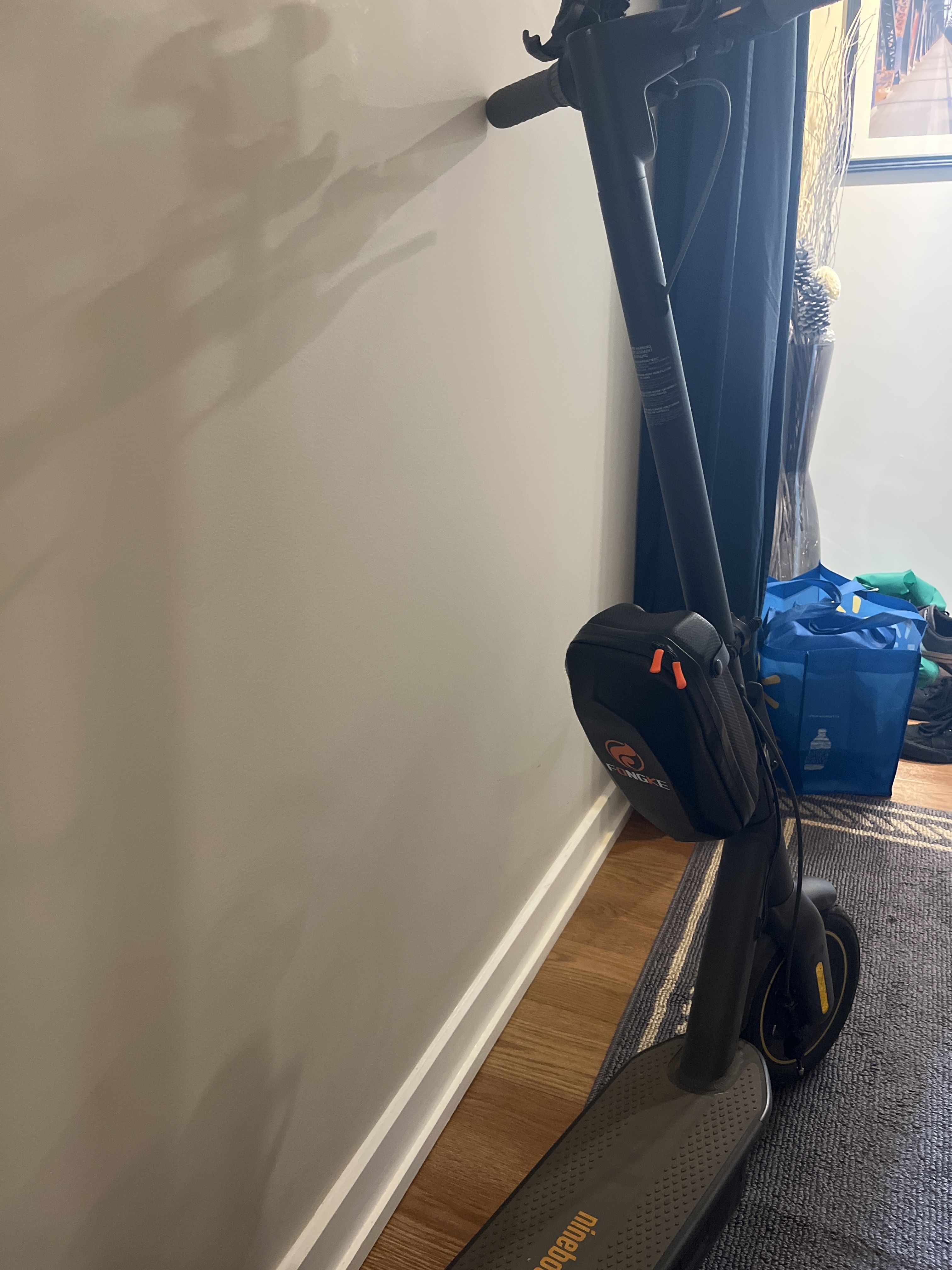2024 Segway Ninebot Kick scooter max G30P e-scooter