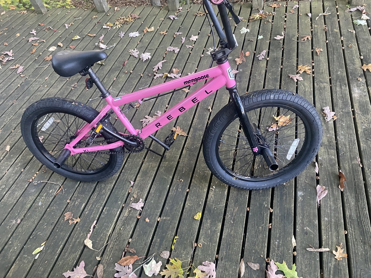 Stolen Mongoose