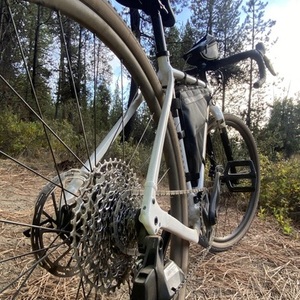 2024 Trek Checkpoint ALR 5 AXS