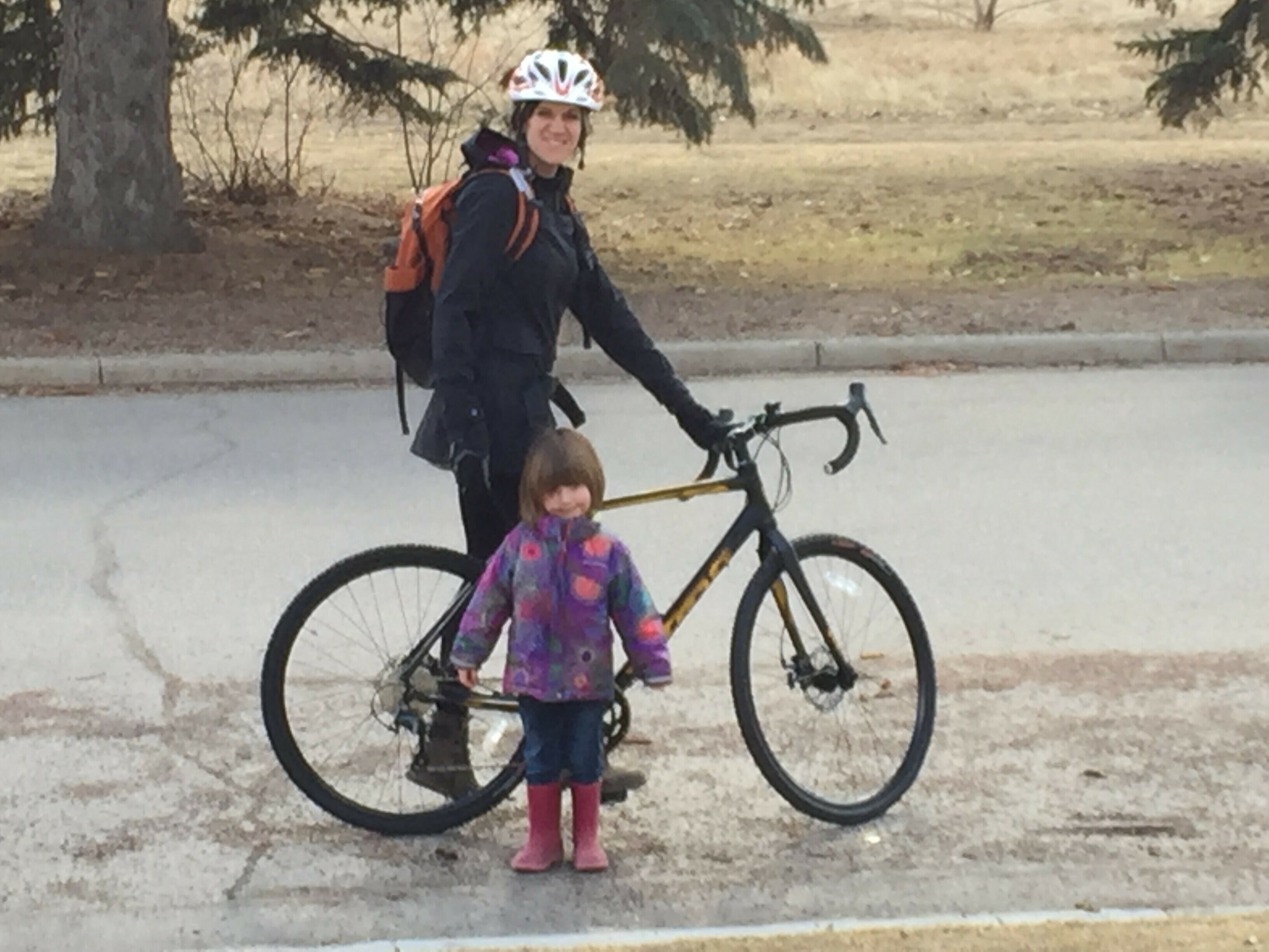 Stolen 2017 Kona Jake