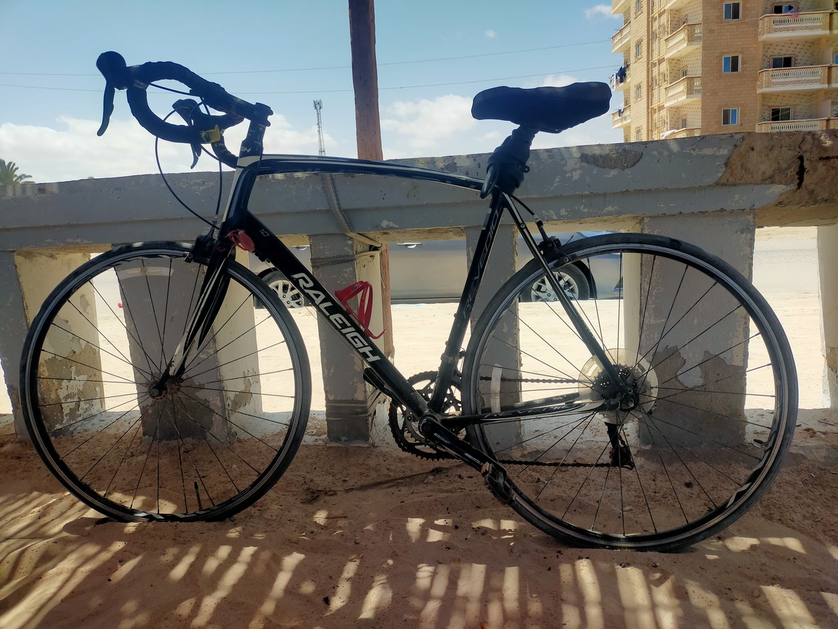 2014 Raleigh Revenio