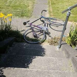 Stolen 1995 Trek 1220