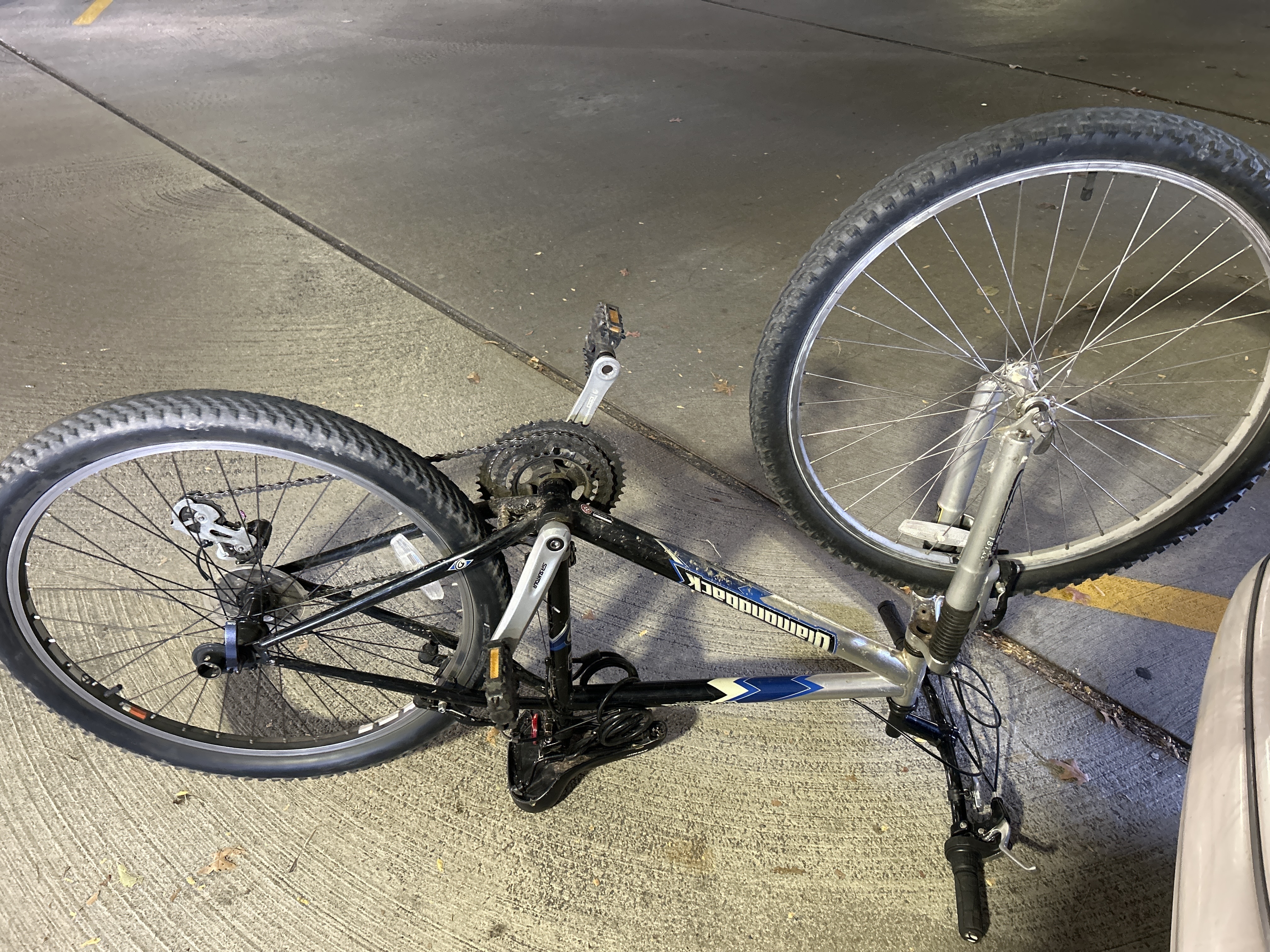 2010 Diamondback Outlook