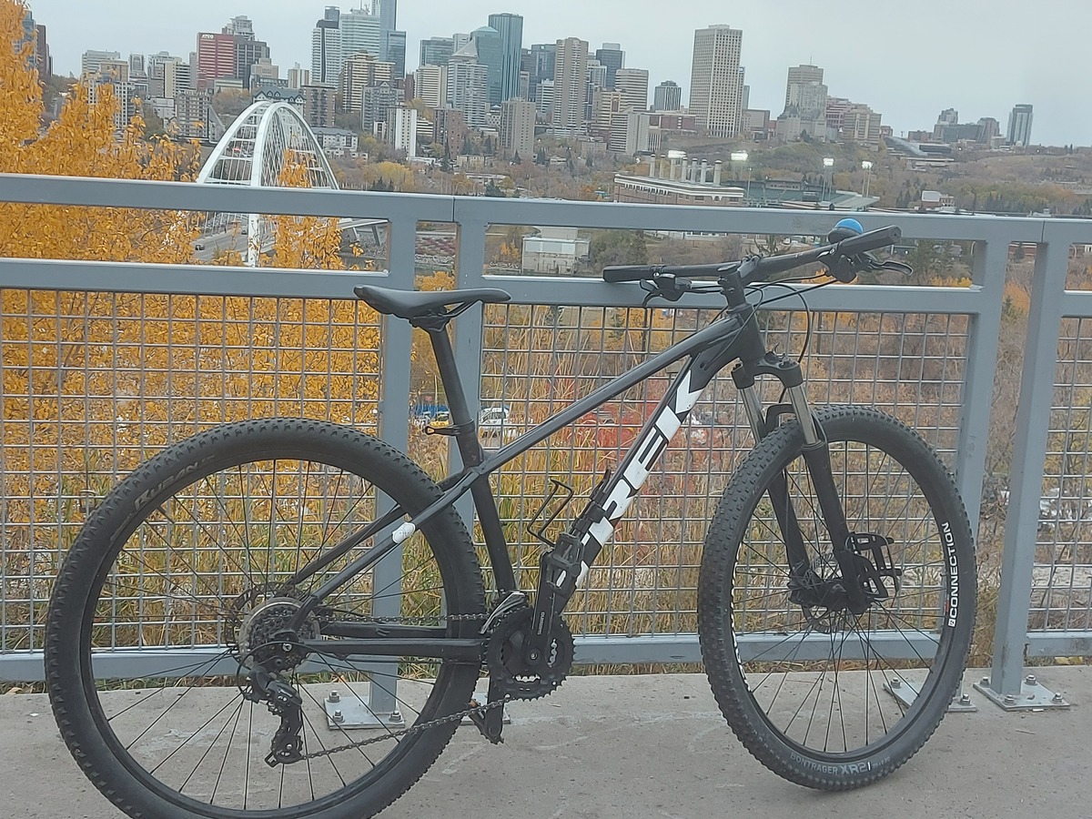 2019 Trek Marlin 5