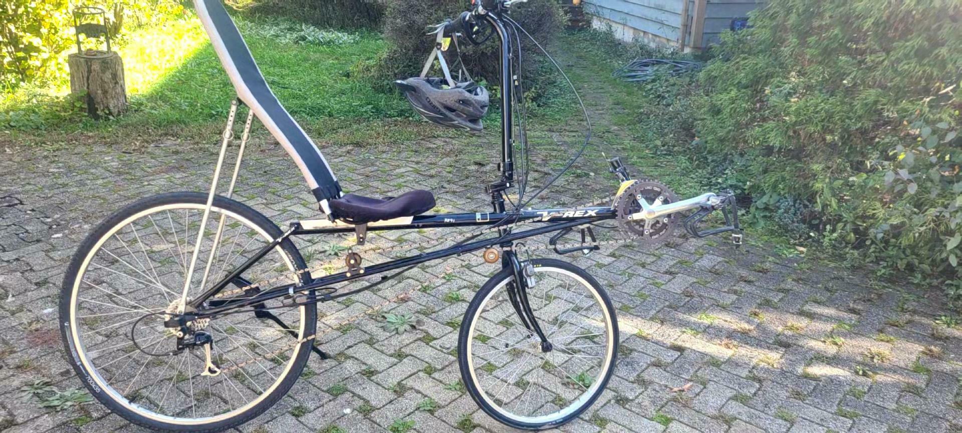 1995 Rans Designs V-Rex recumbent