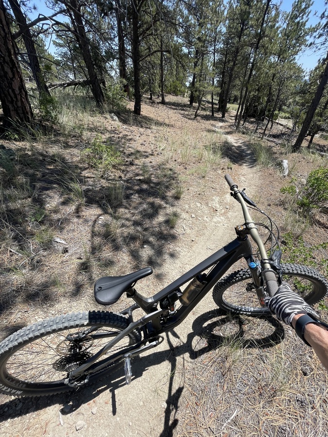 Stolen 2024 Transition Bikes Sentinel