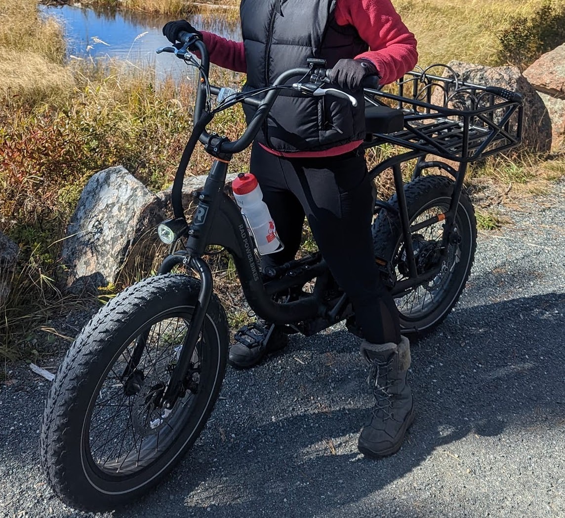 Stolen 2022 Rad Power Bikes Rad Runner 2