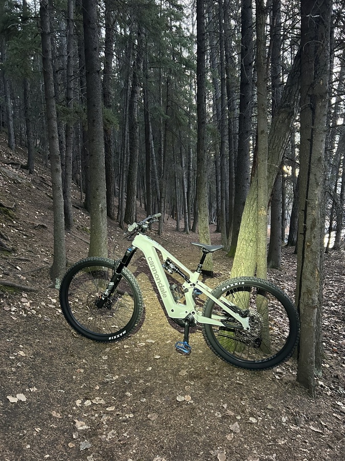 2024 Cannondale Monterra sl 2