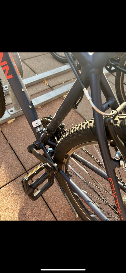 Stolen Schwinn Standpoint