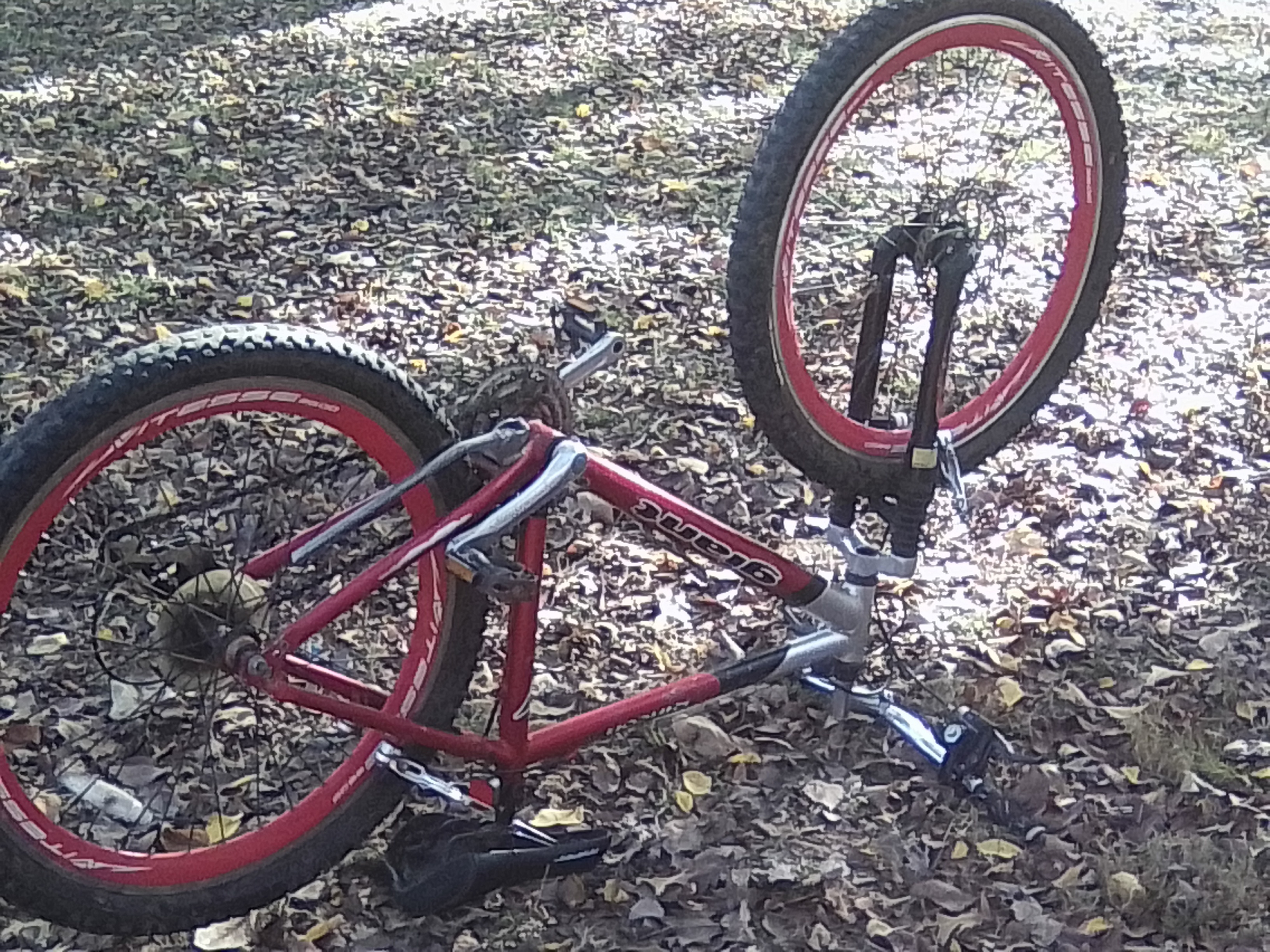 Giant Moda (Red)