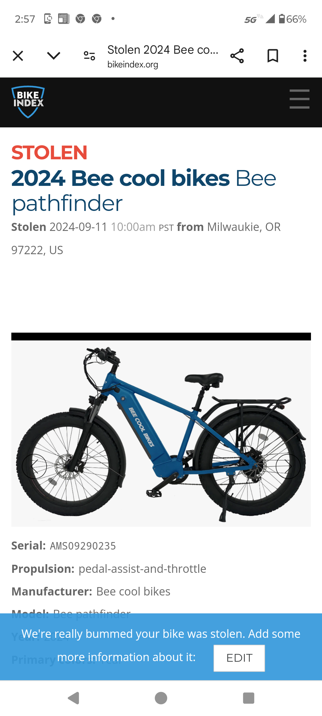 Stolen 2024 Bee cool bikes