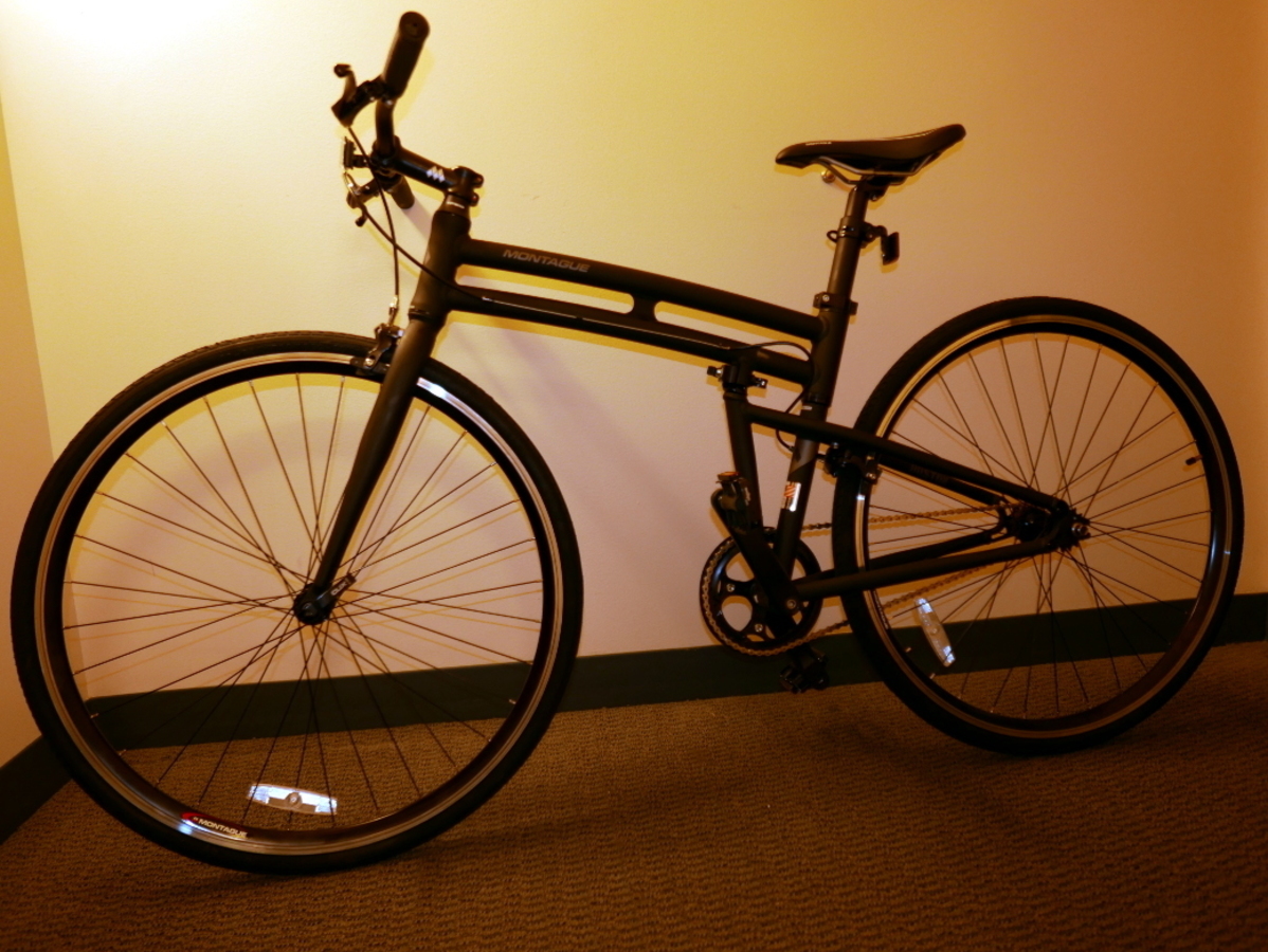 2017 Montague Boston 21"