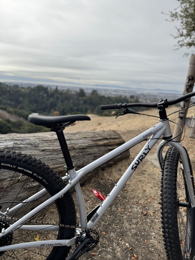 Surly krampus rigid sm first loser