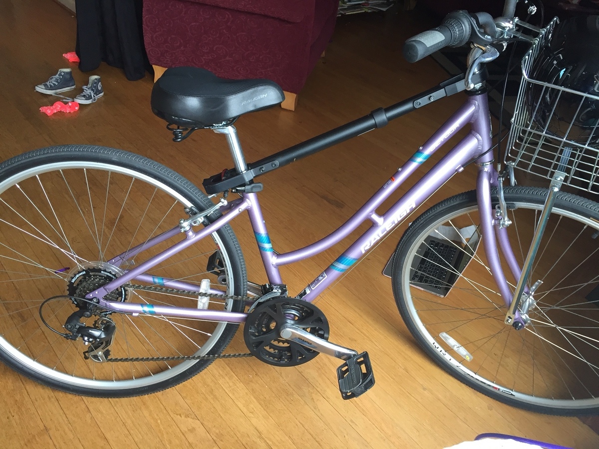2015 Raleigh Detour 3.5