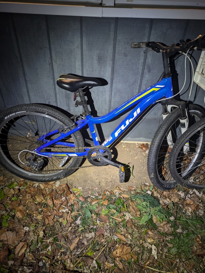 Fuji Dynamite 24