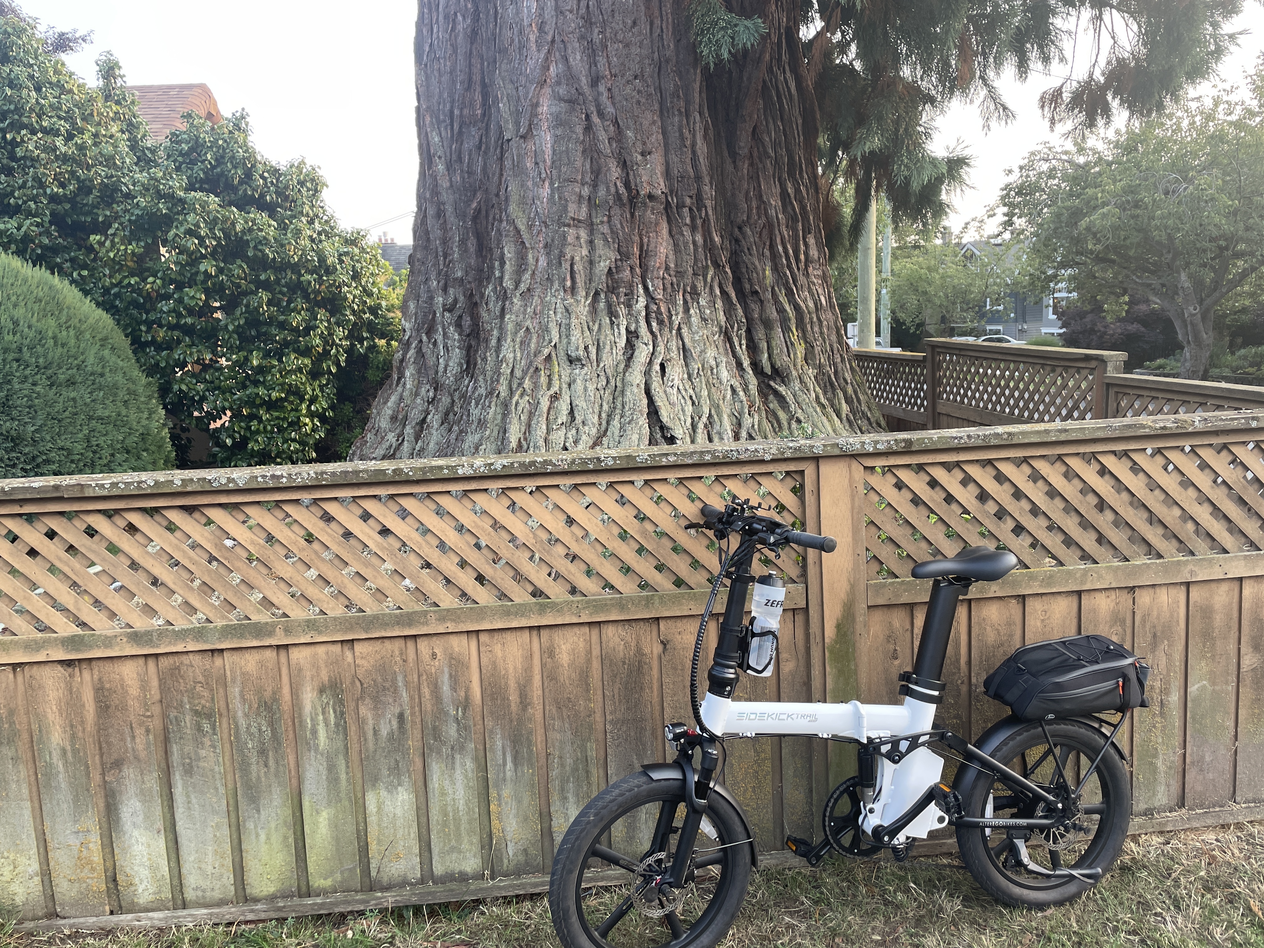 2024 Alter Ego Bikes Trail Pro 3