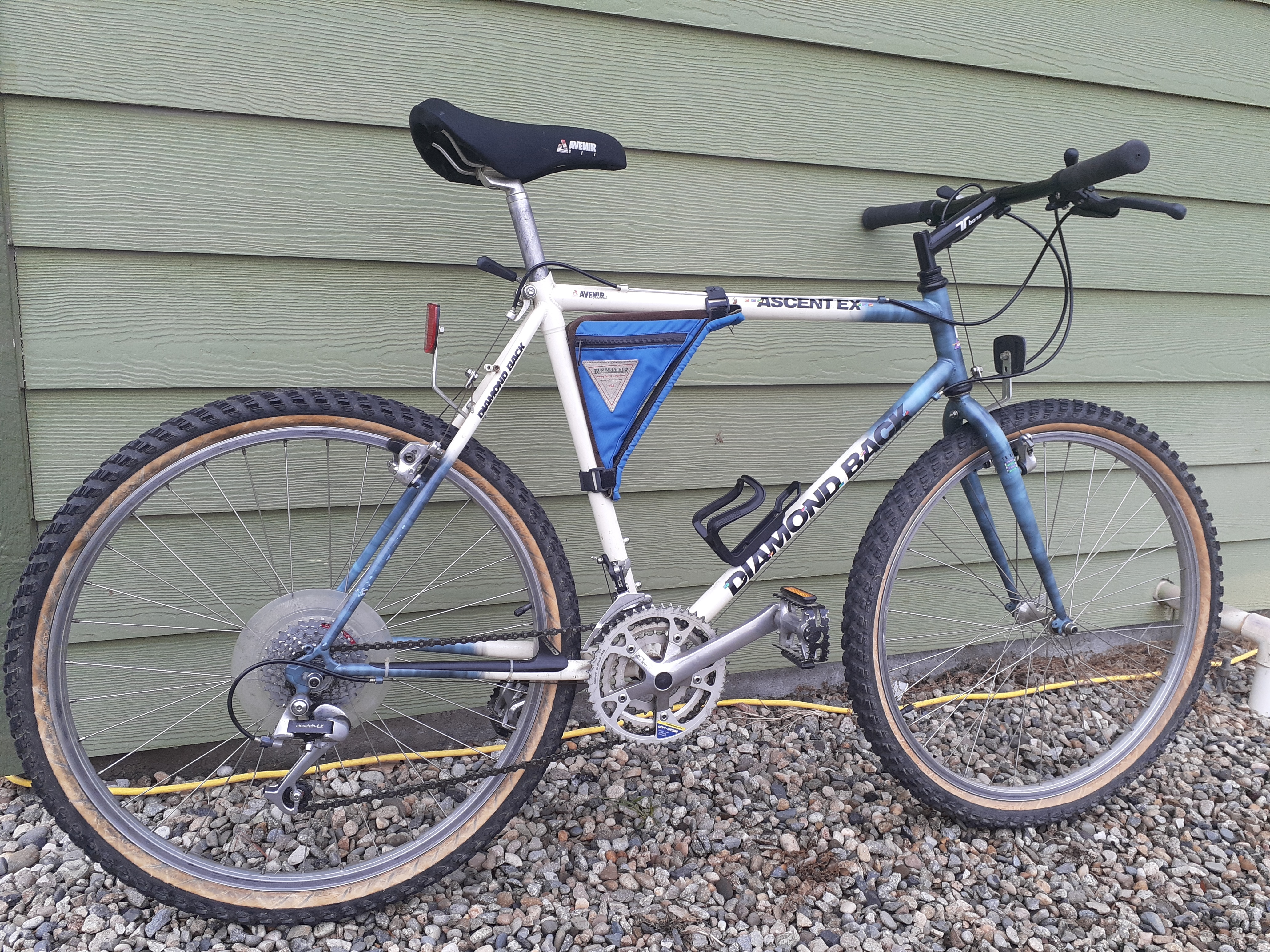 1989 Diamondback Ascent EX