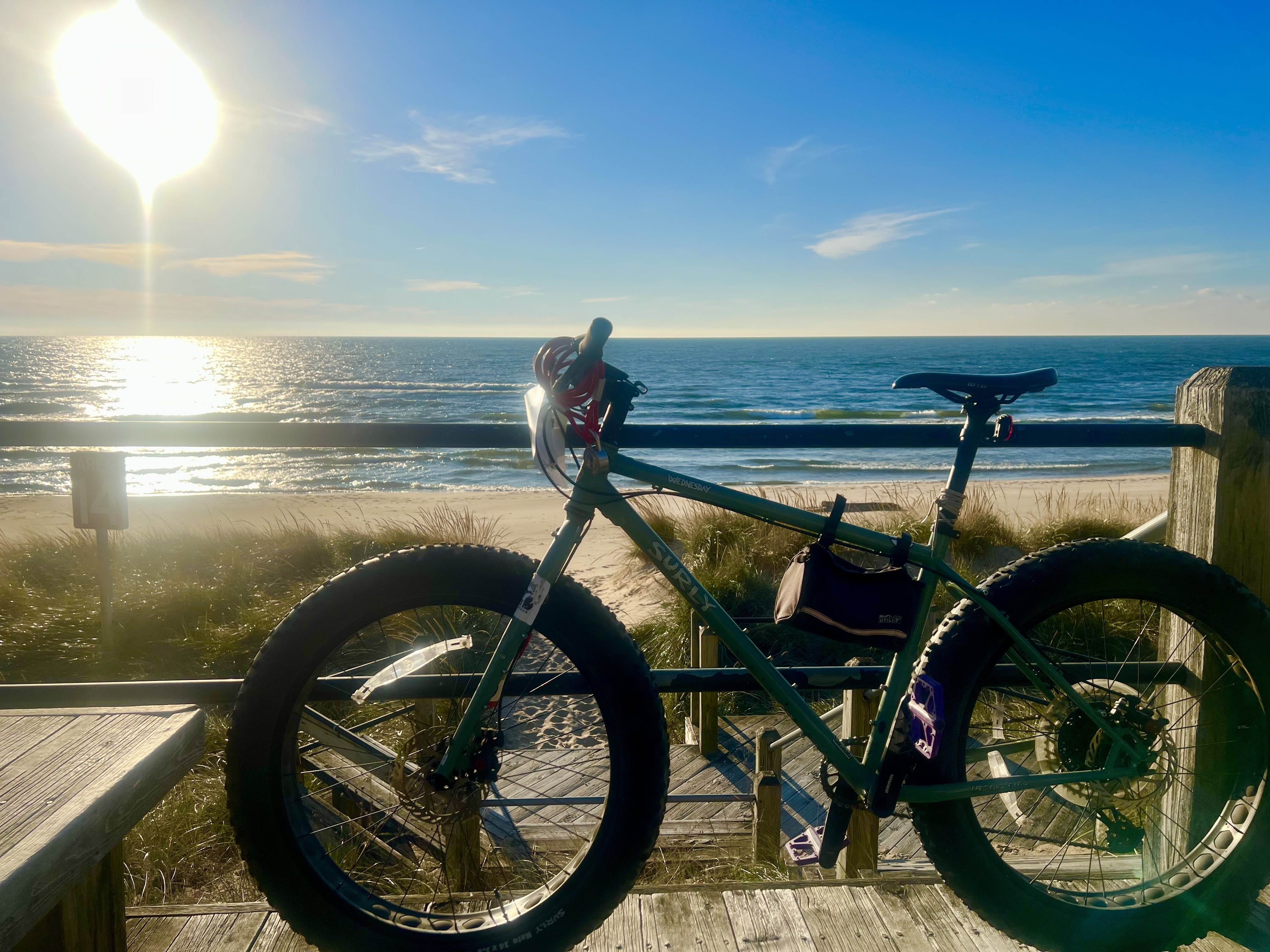 Stolen 2022 Surly Wednesday