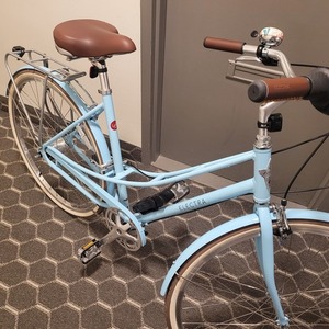 Electra Loft 7i (Model 529810)