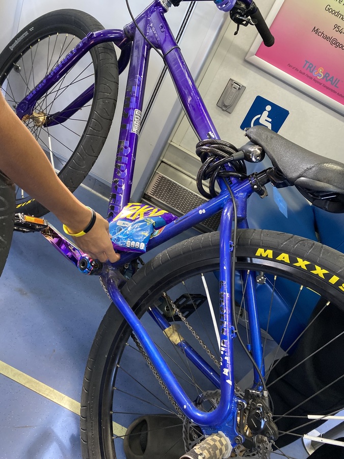 2021 SE Bikes SE Bikes Fast Ripper 29 BMX 2019