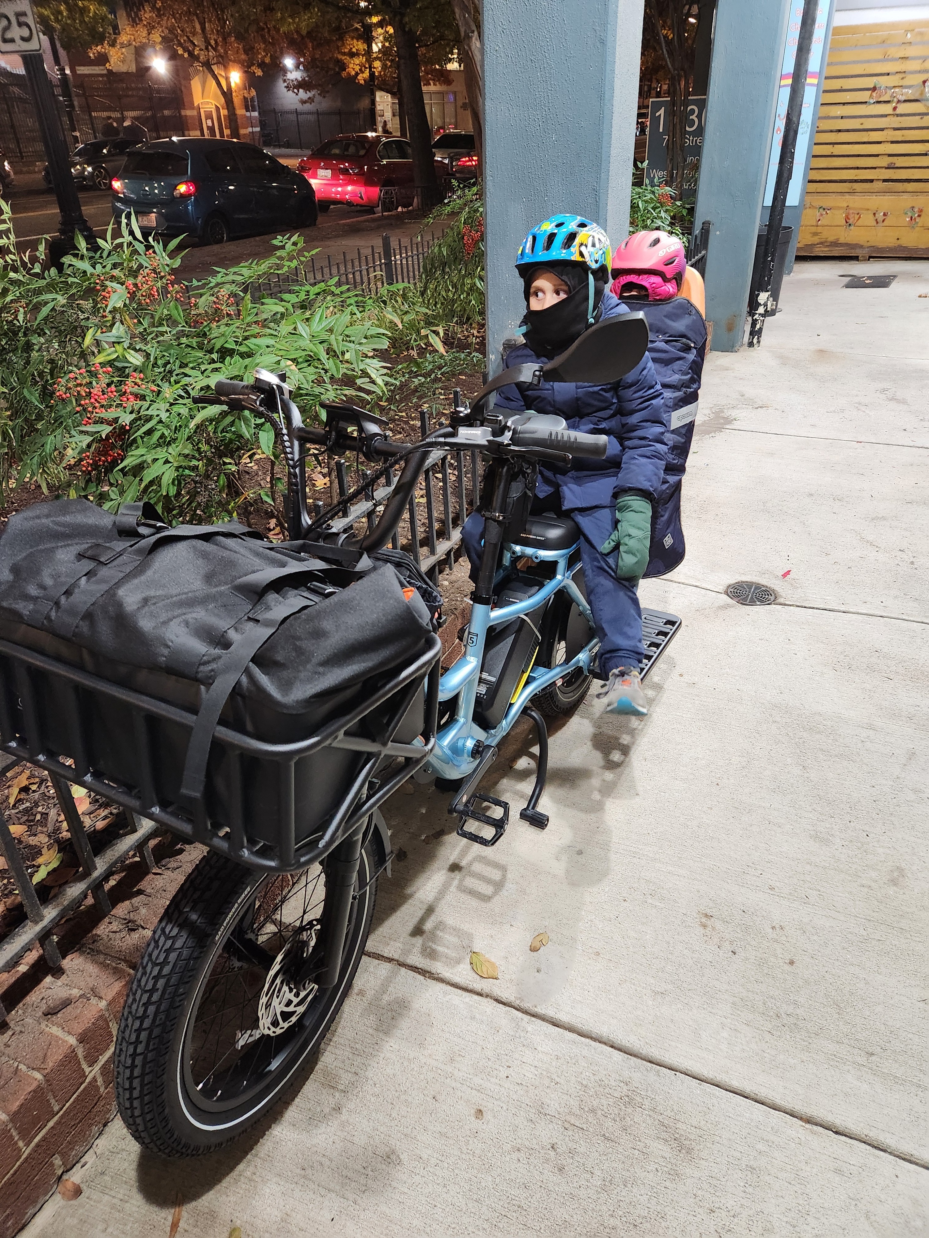 2024 Rad Power Bikes Radwagon 5