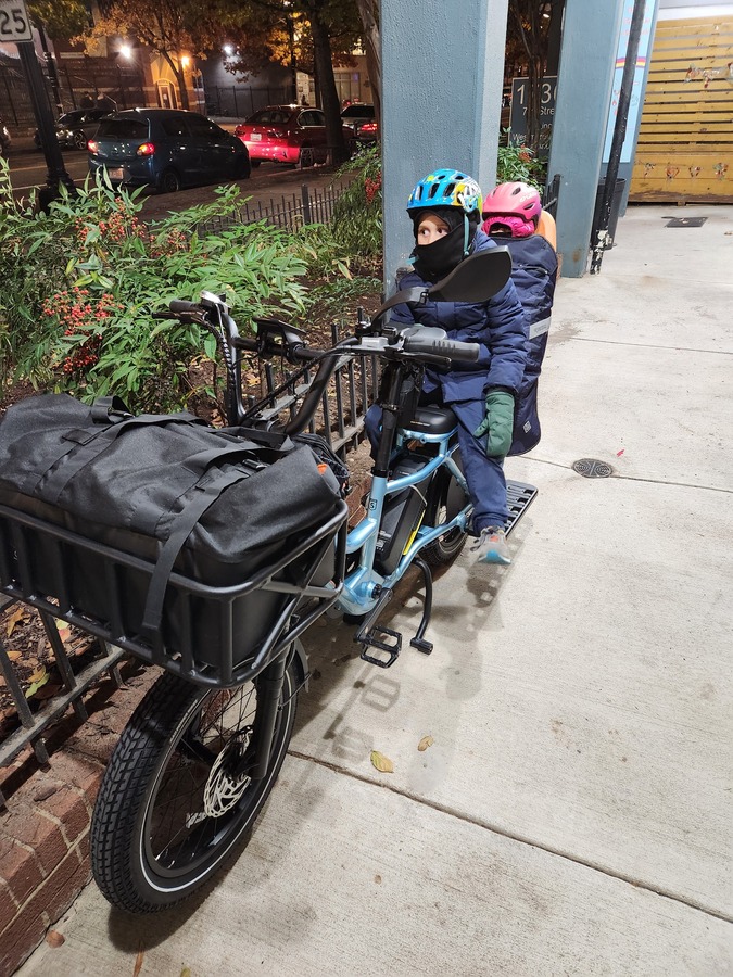 2024 Rad Power Bikes Radwagon 5