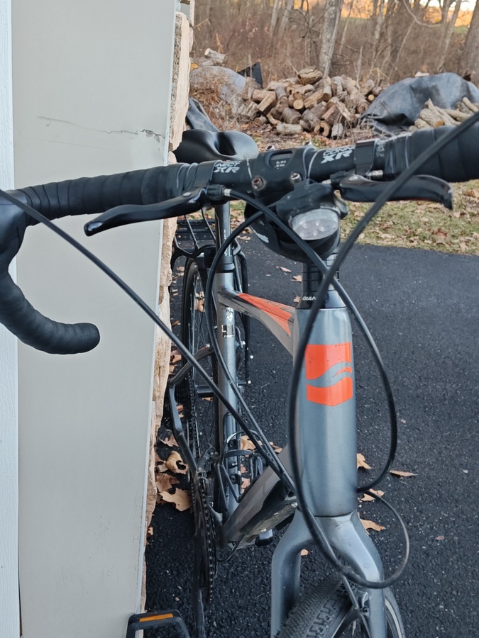 2015 Giant Revolt 3