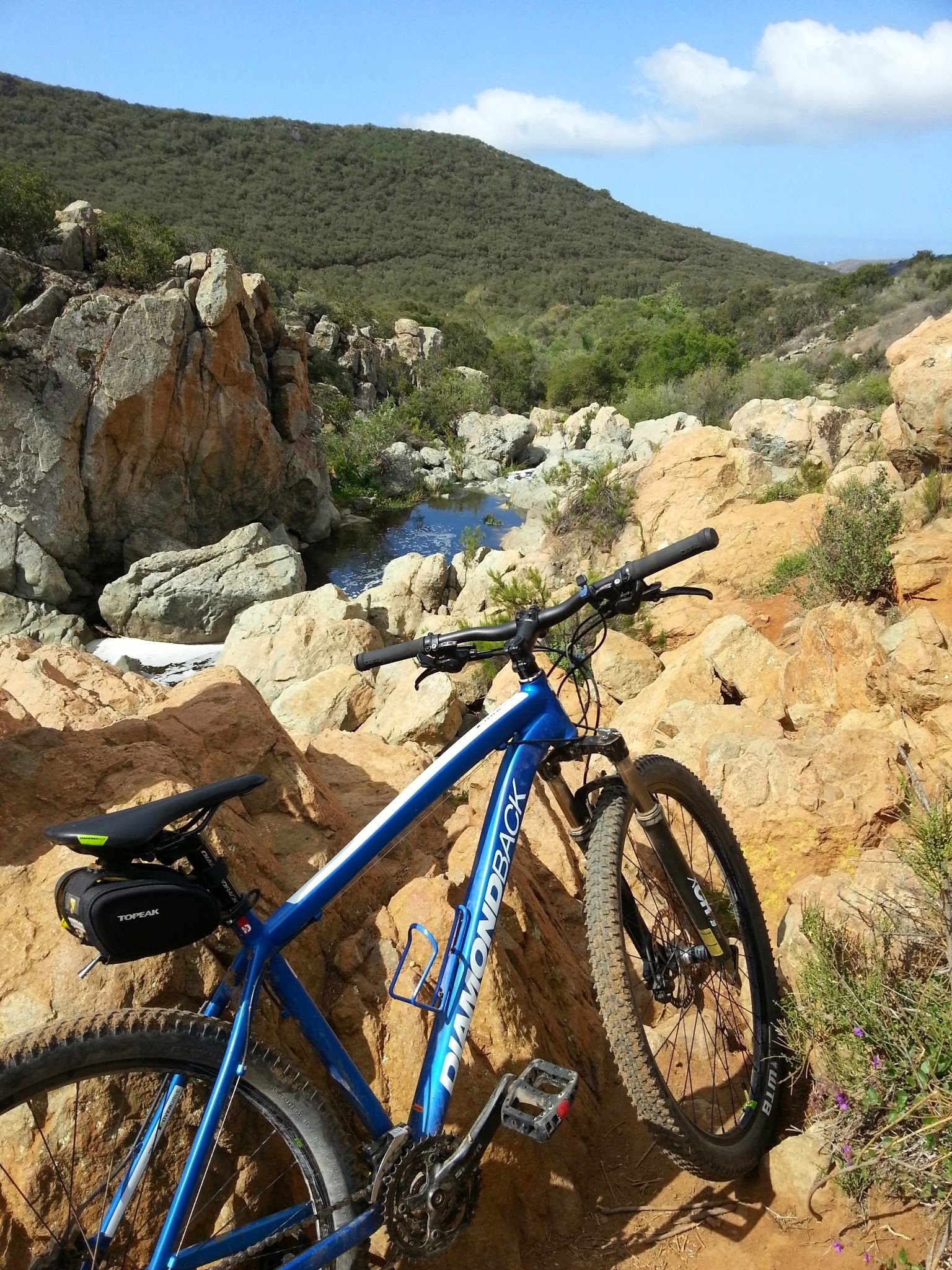 2012 Diamondback Overdrive