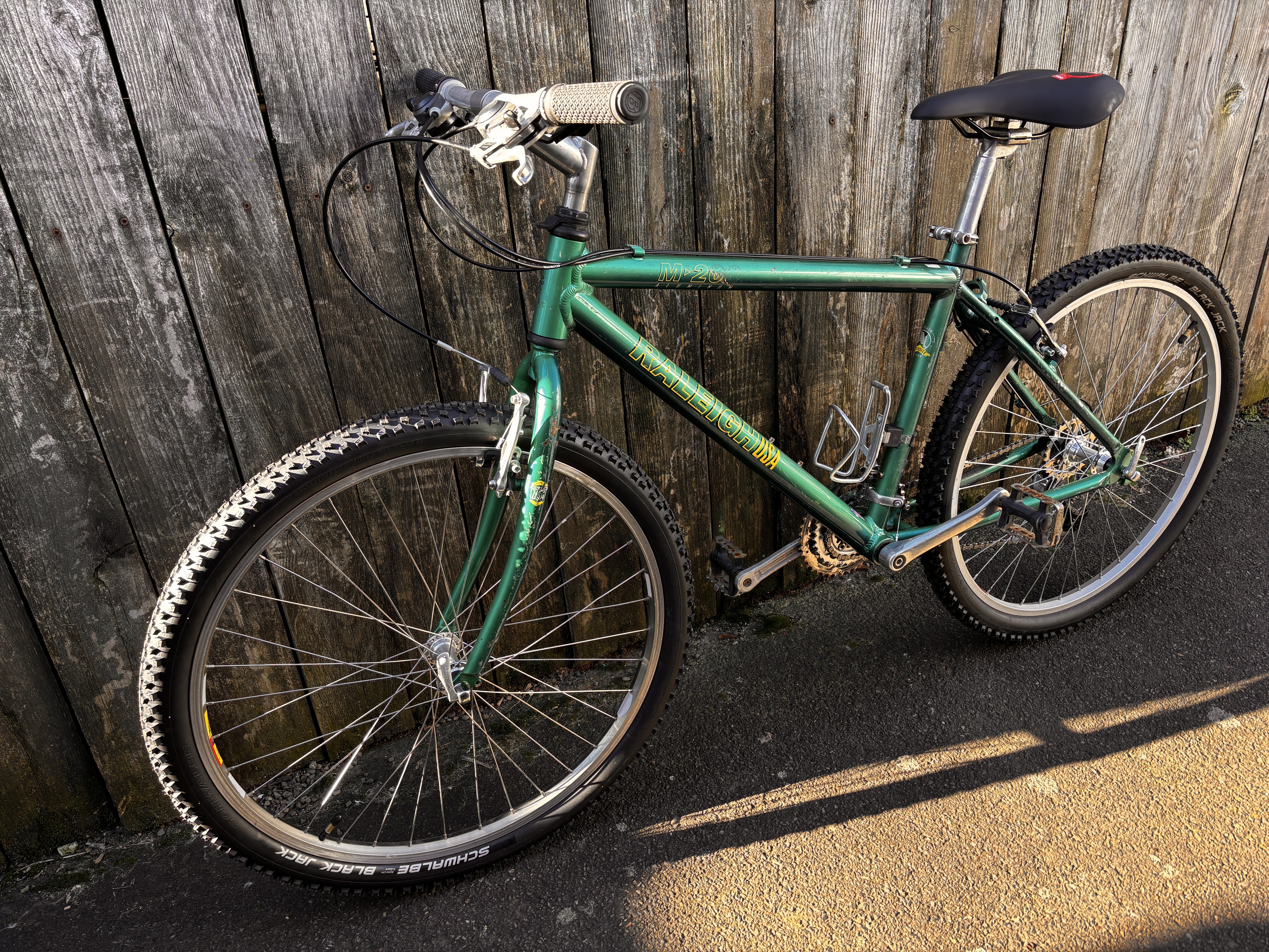1996 Raleigh M200