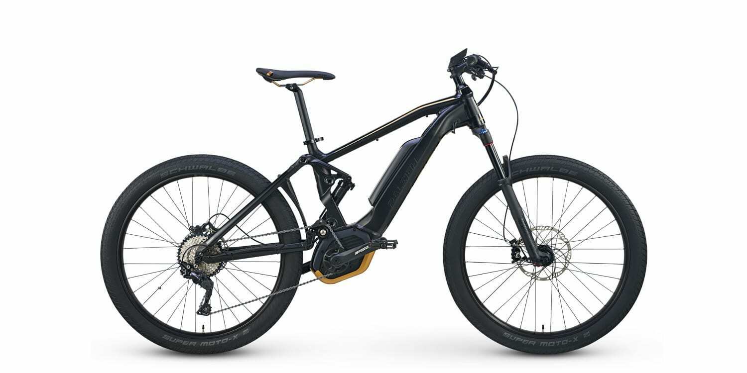 Stolen 2020 Raleigh Lore DS iE