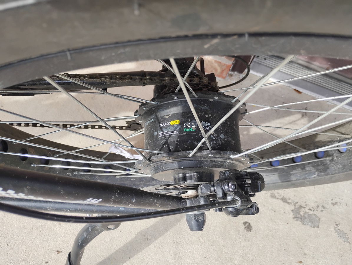 2024 Speedwell bicycles Speedrig 26