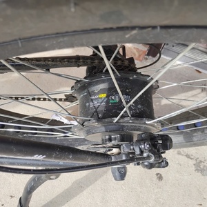 2024 Speedwell bicycles Speedrig 26