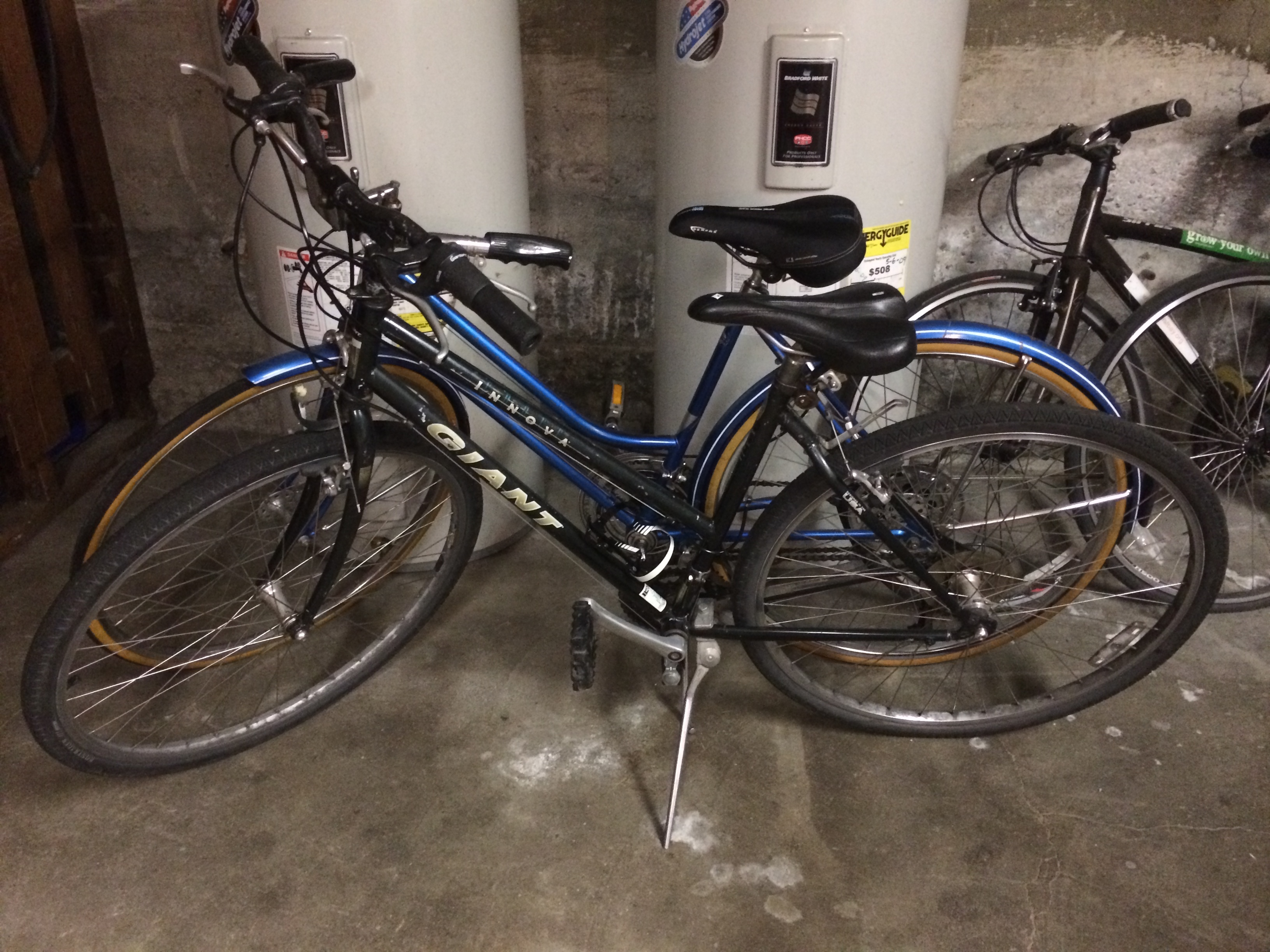 Stolen 1994 Giant Innova