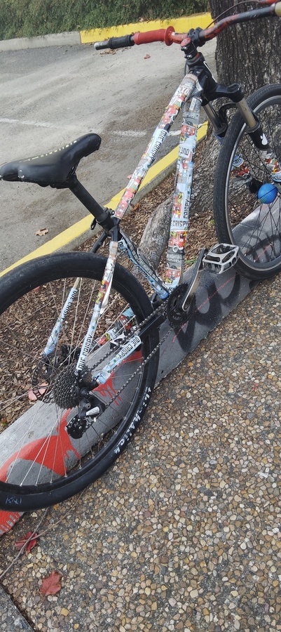 Specialized 19