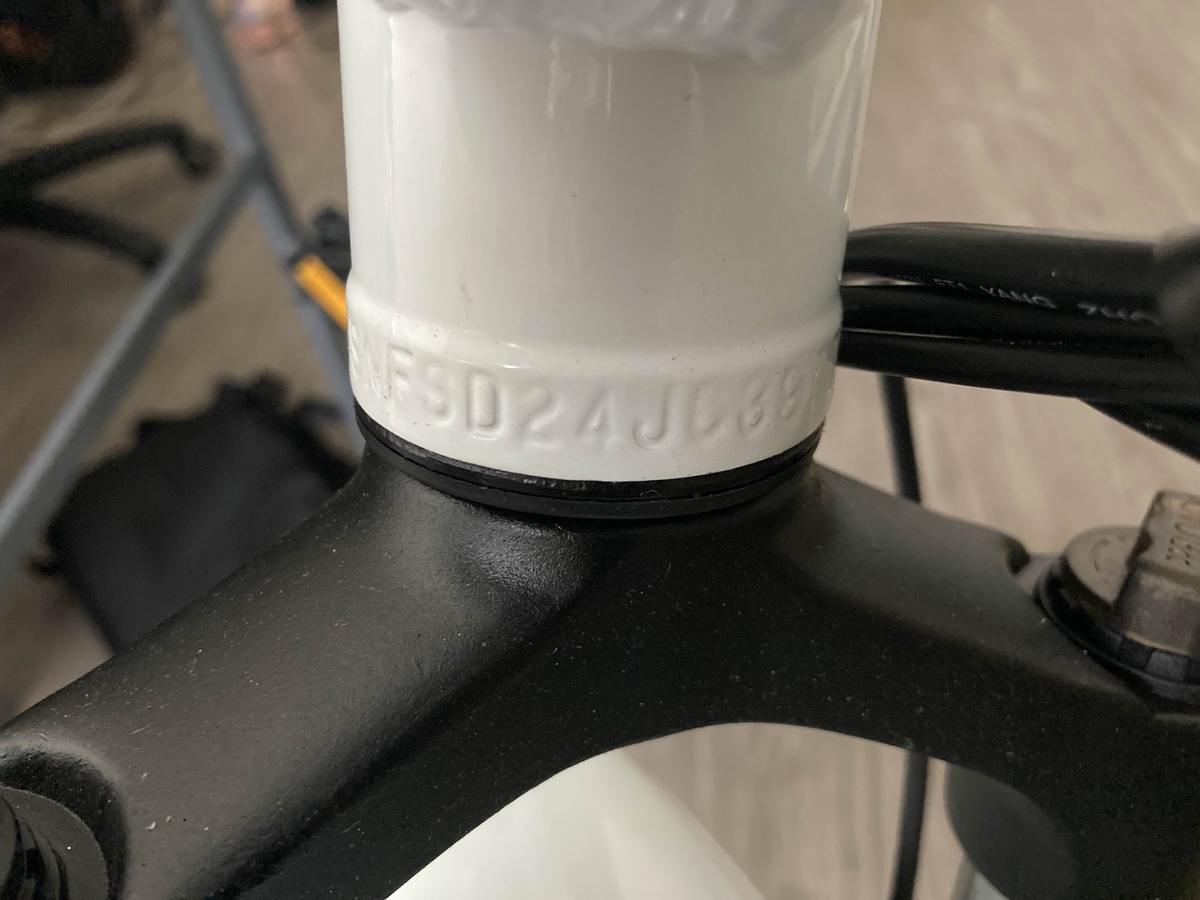 Lectric eBikes Step-Thru