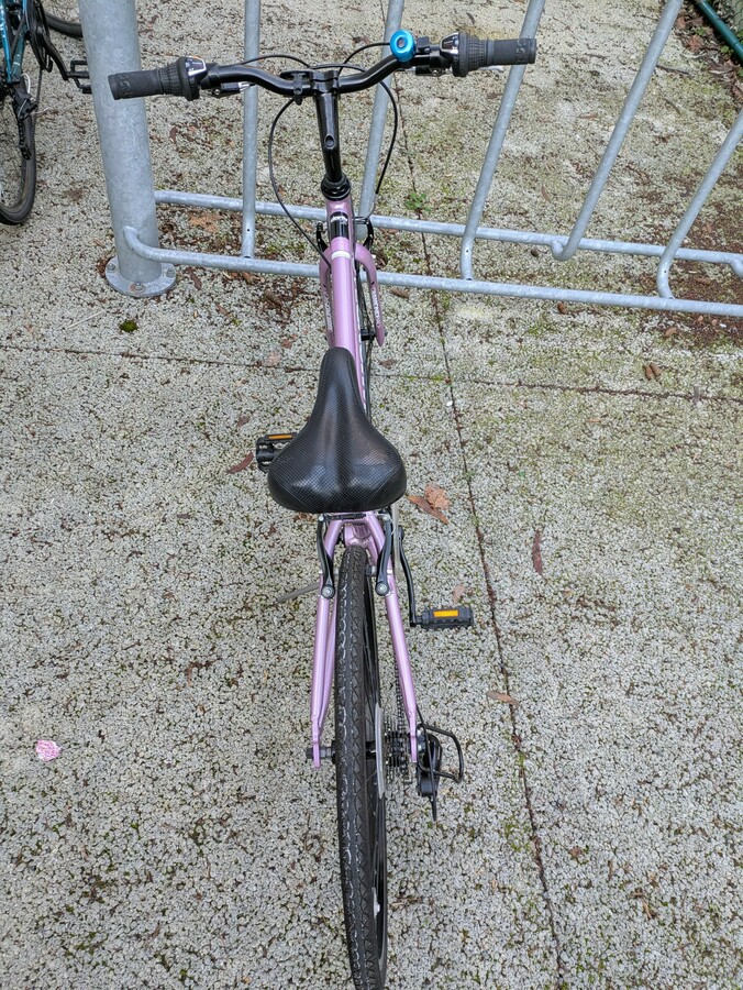 Diamondback Clarity 24