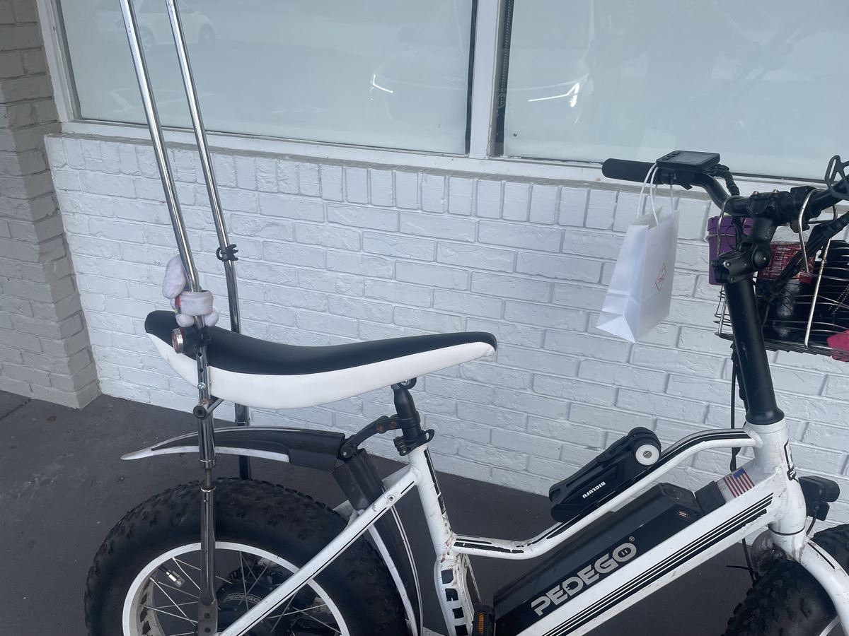 2020 Pedego Element
