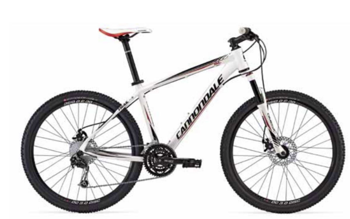 Stolen 2010 Cannondale F5