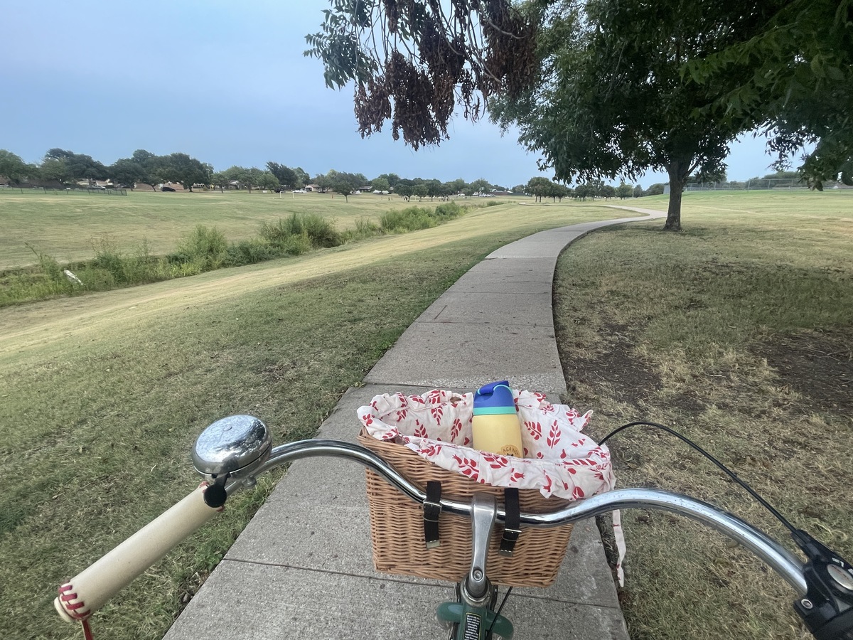Stolen 2012 Electra Gypsy 3i