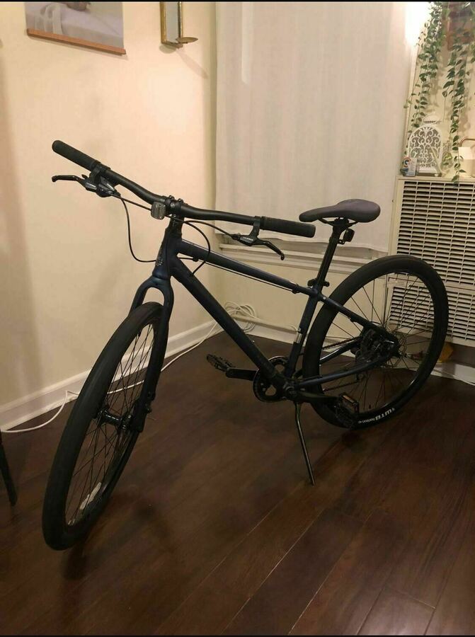 2019 Raleigh REDUX 1