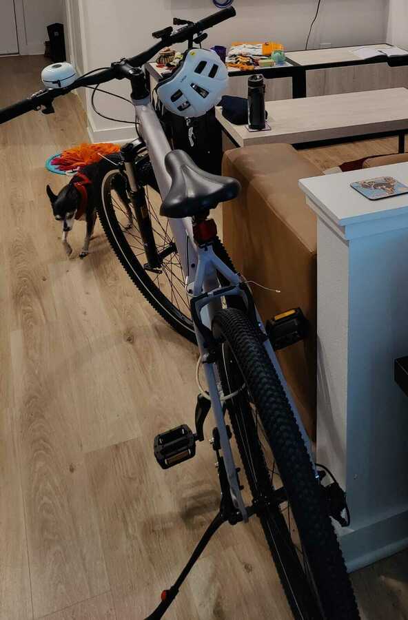 Stolen 2025 Batch Bicycles
