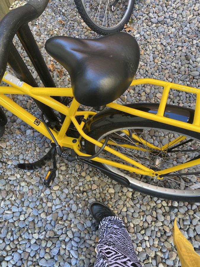 Sun Atlas X Type Industrial Bike