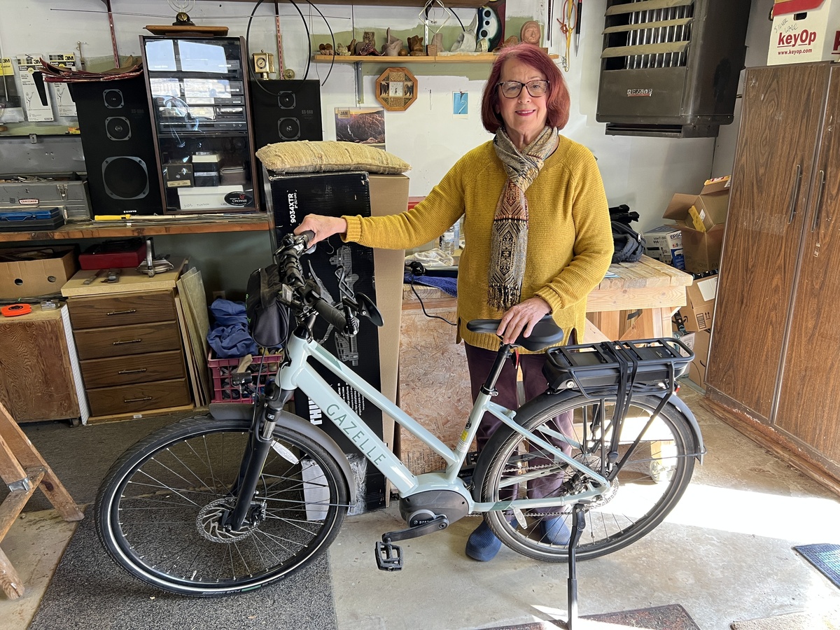 2024 Gazelle Medeo T9 City HMB