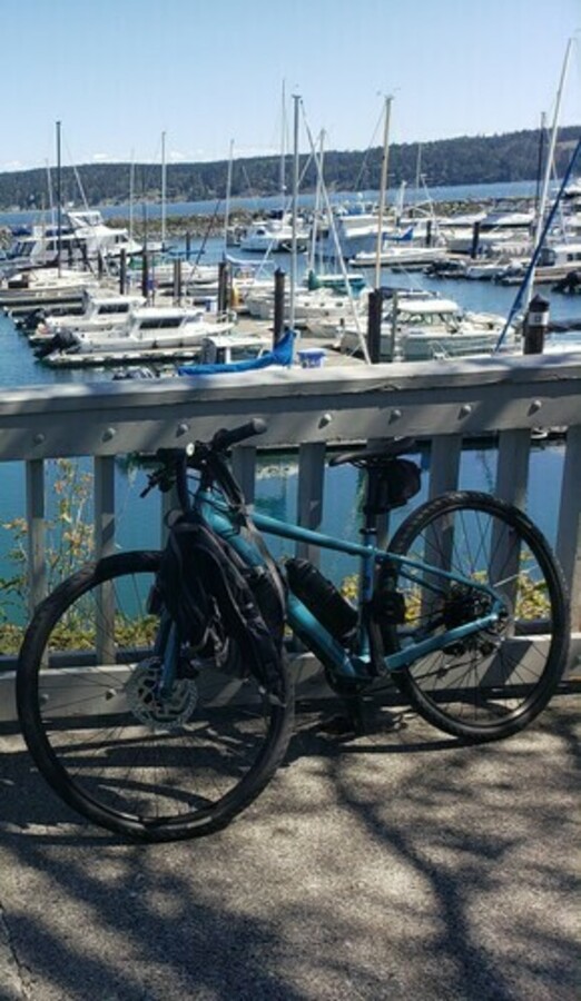 2024 Salsa Confluence