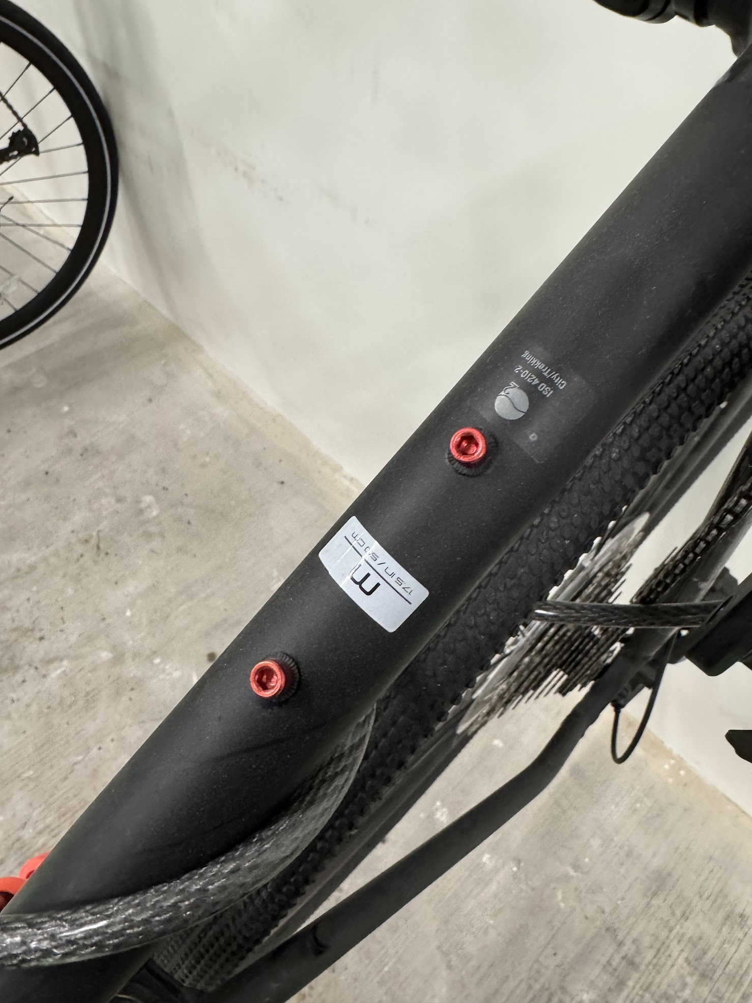2020 Trek Dual Sport 4