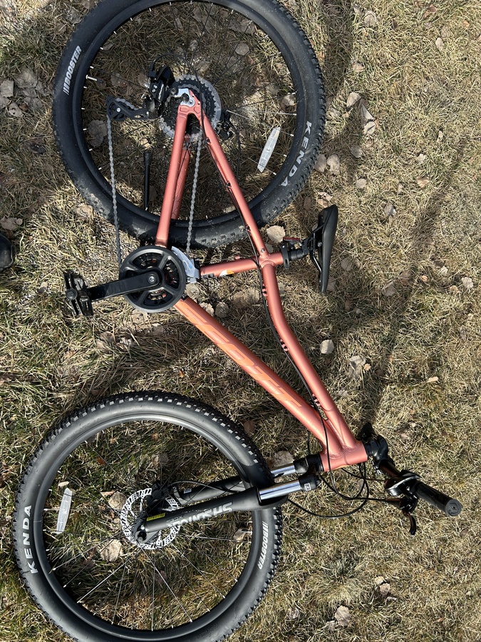 2025 SCOTT Contessa