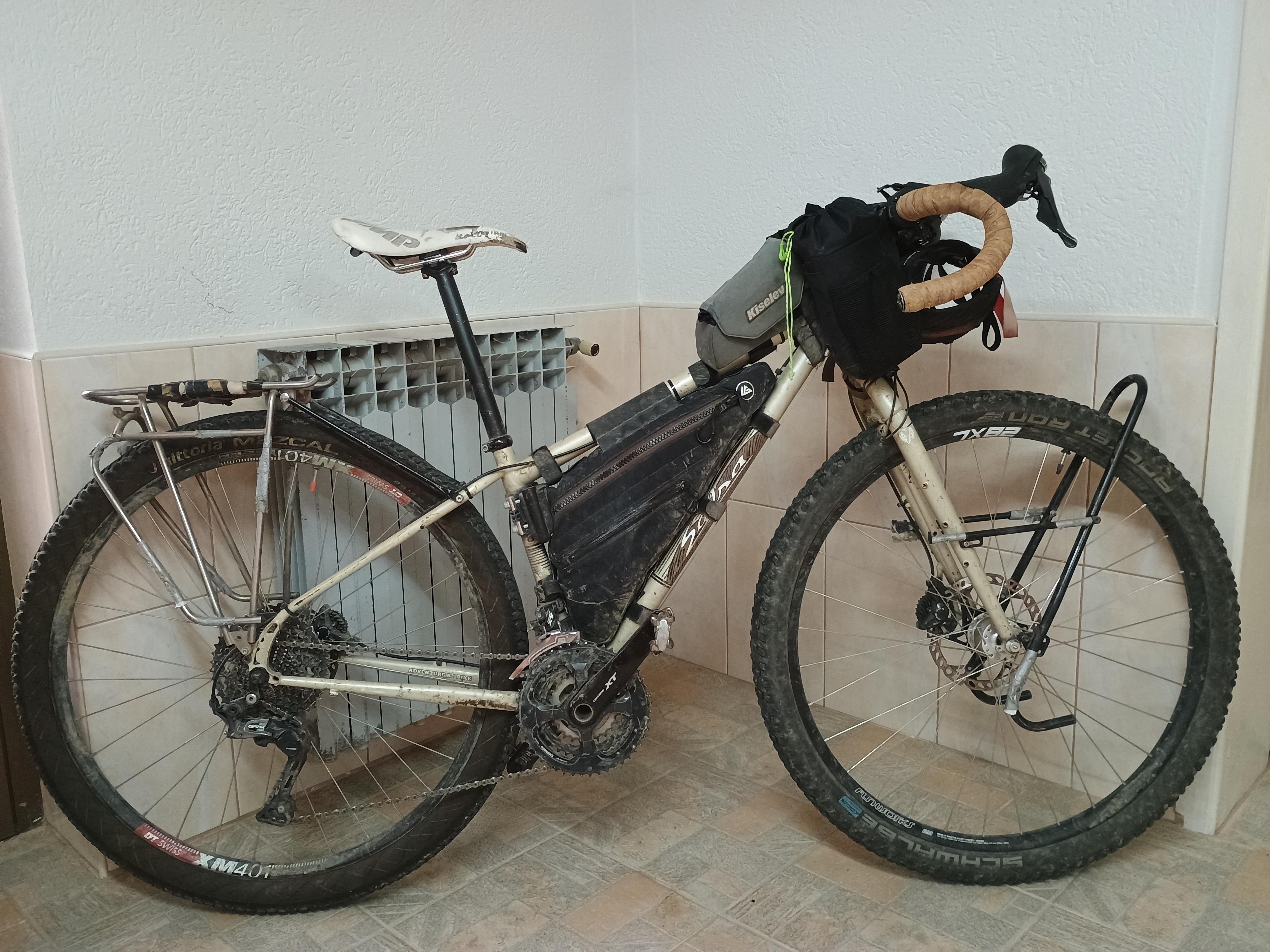2011 Salsa Fargo