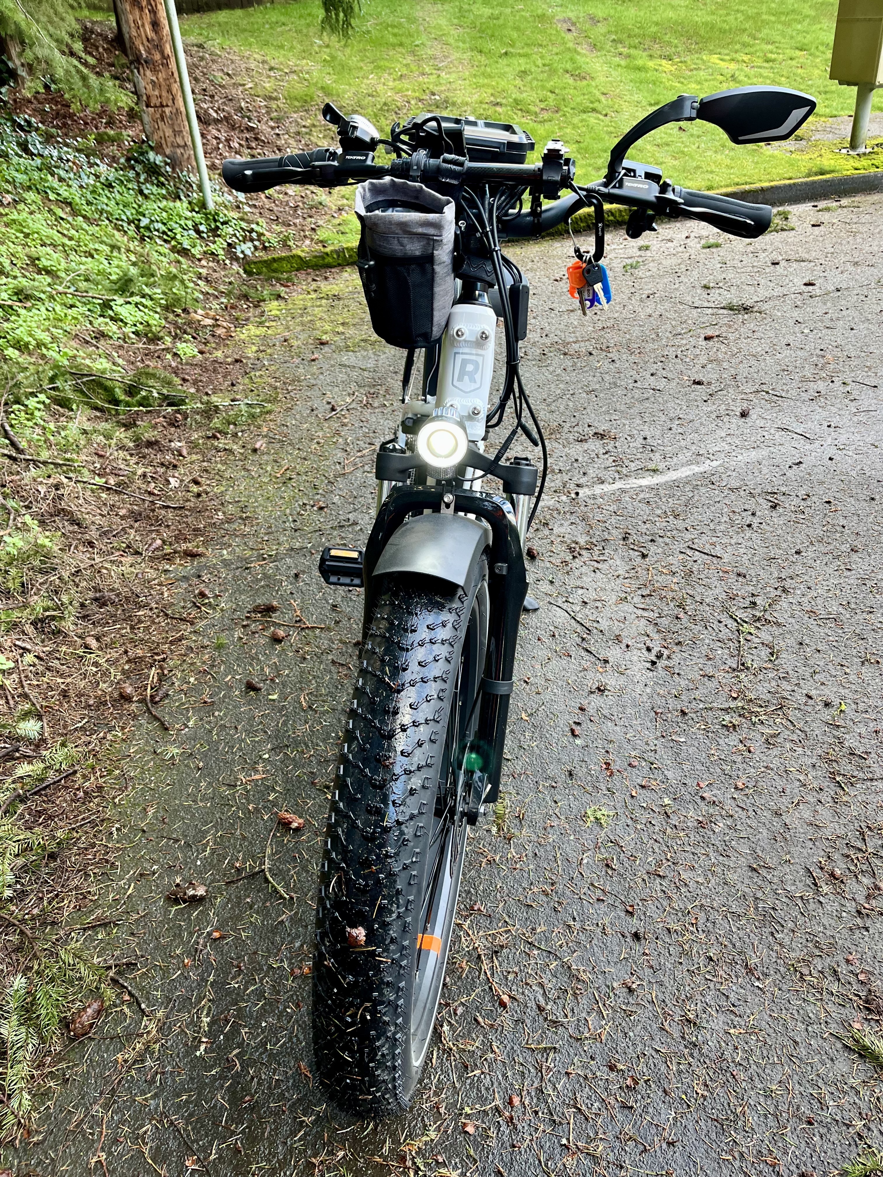 2021 Rad Power Bikes Rad Rover 6+ step-thru